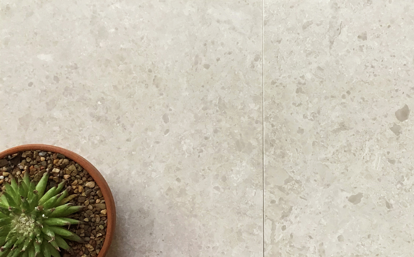 Savannah Marble - Products - Surface Gallery